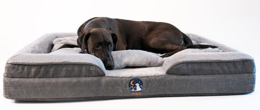 Contact Archie's Dream for Queries & Support